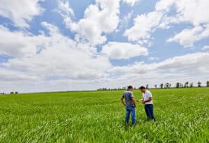 Groupe Roullier – Nutrition végétale, animale et humaine